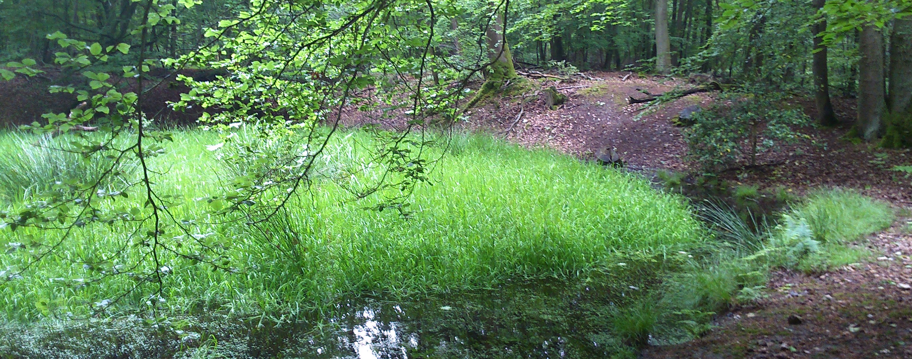 Présentation | Commune de La Londe