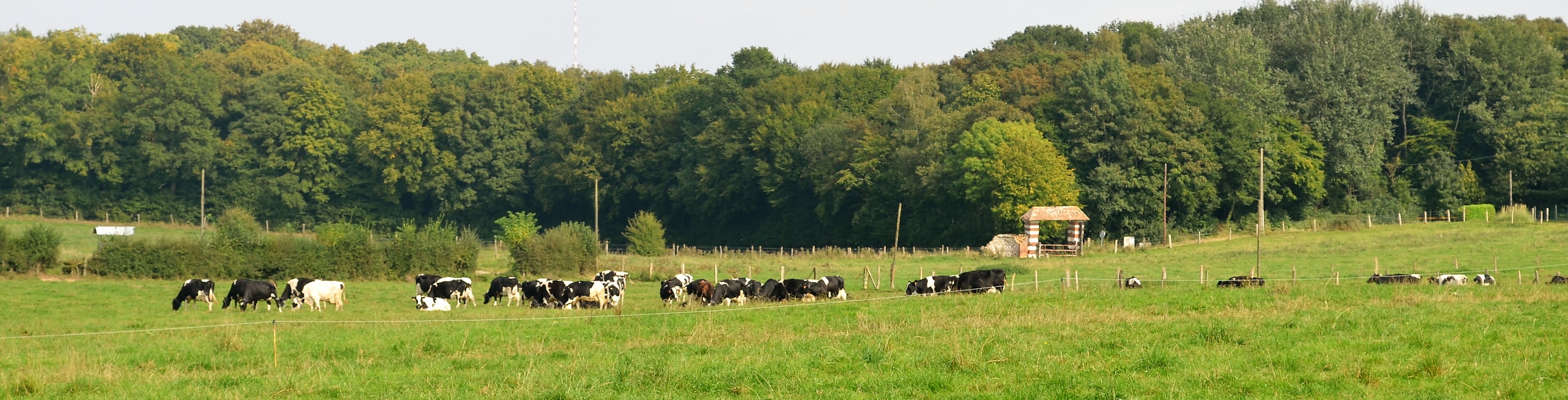 Présentation | Commune de La Londe
